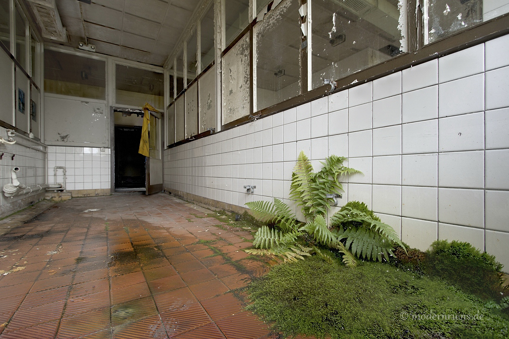Niles Werke AG
